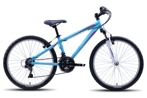 CLEO 24 | Polygon Bikes