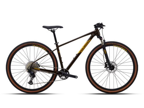 HEIST X | Polygon Bikes