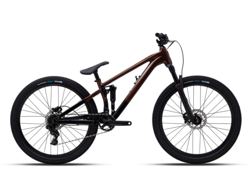 TRID ZZ | Polygon Bikes