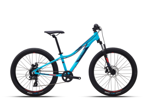 RELIC 24 | Polygon Bikes