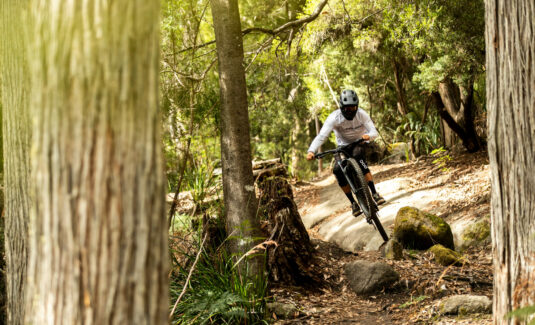 COLLOSUS NE | Polygon Bikes