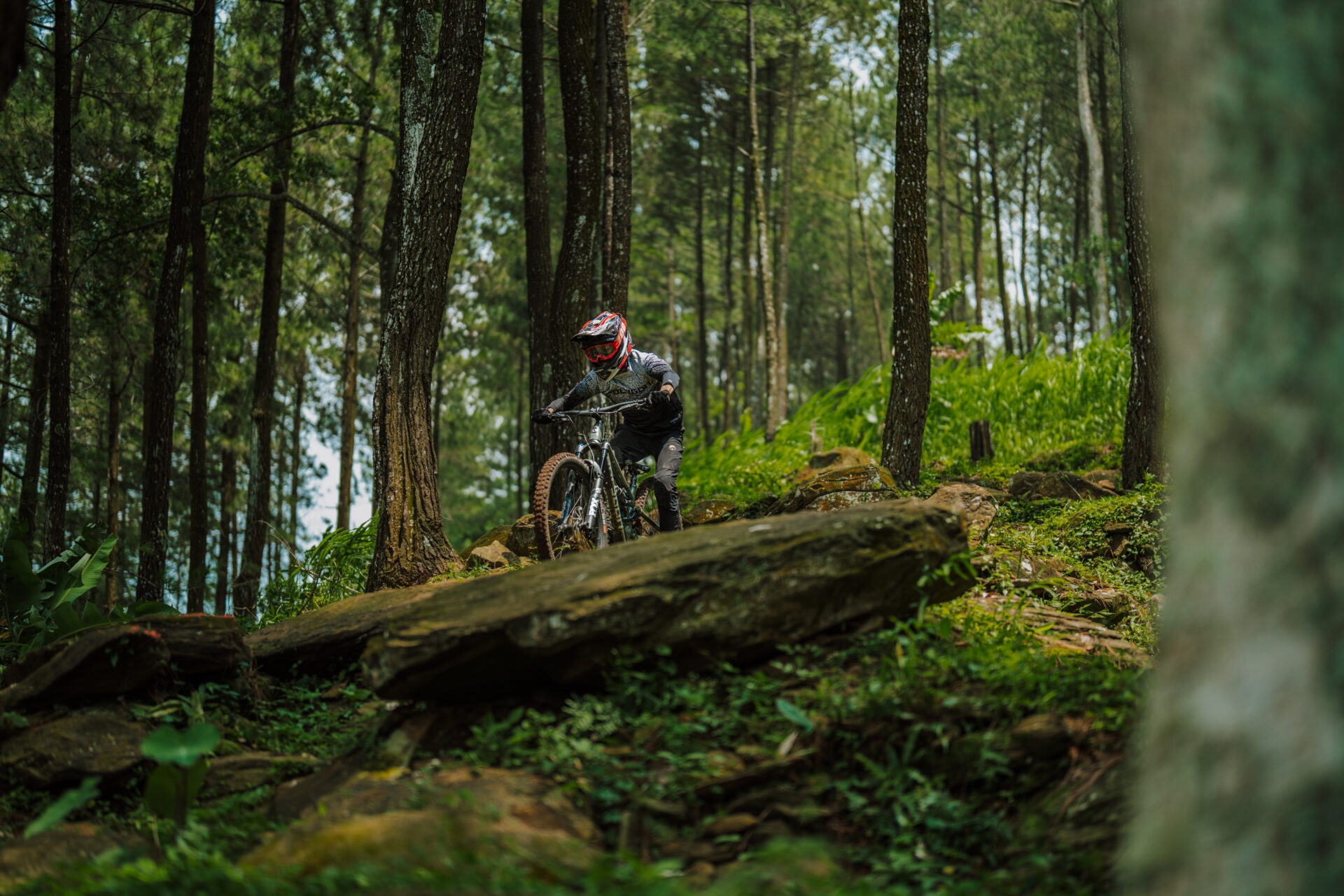 Sepeda Gunung 101: Definisi, 5 Manfaat, dan Rekomendasi - Polygon Bikes
