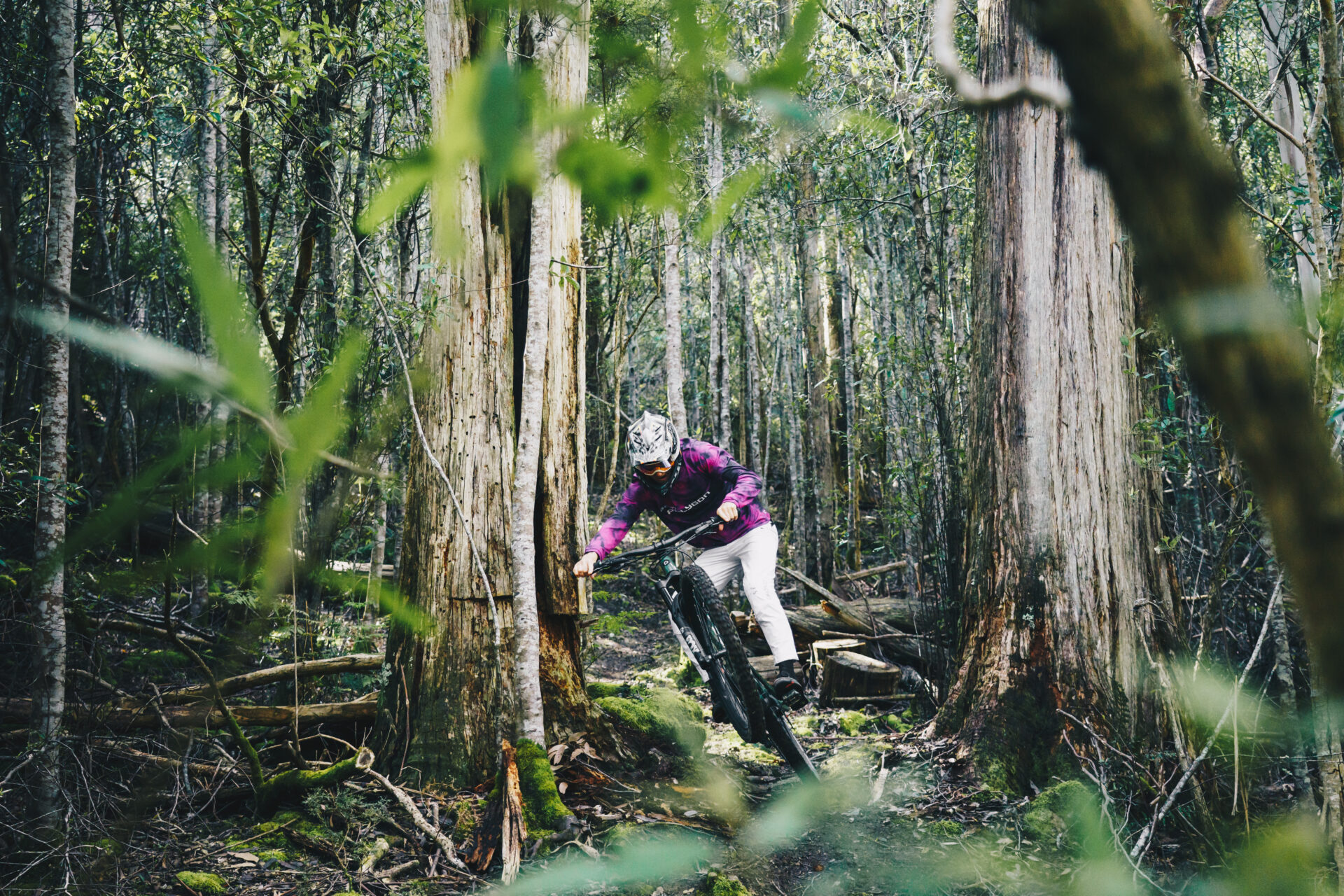 Discovering 5 Advantages of Mountain Biking - Polygon Bikes